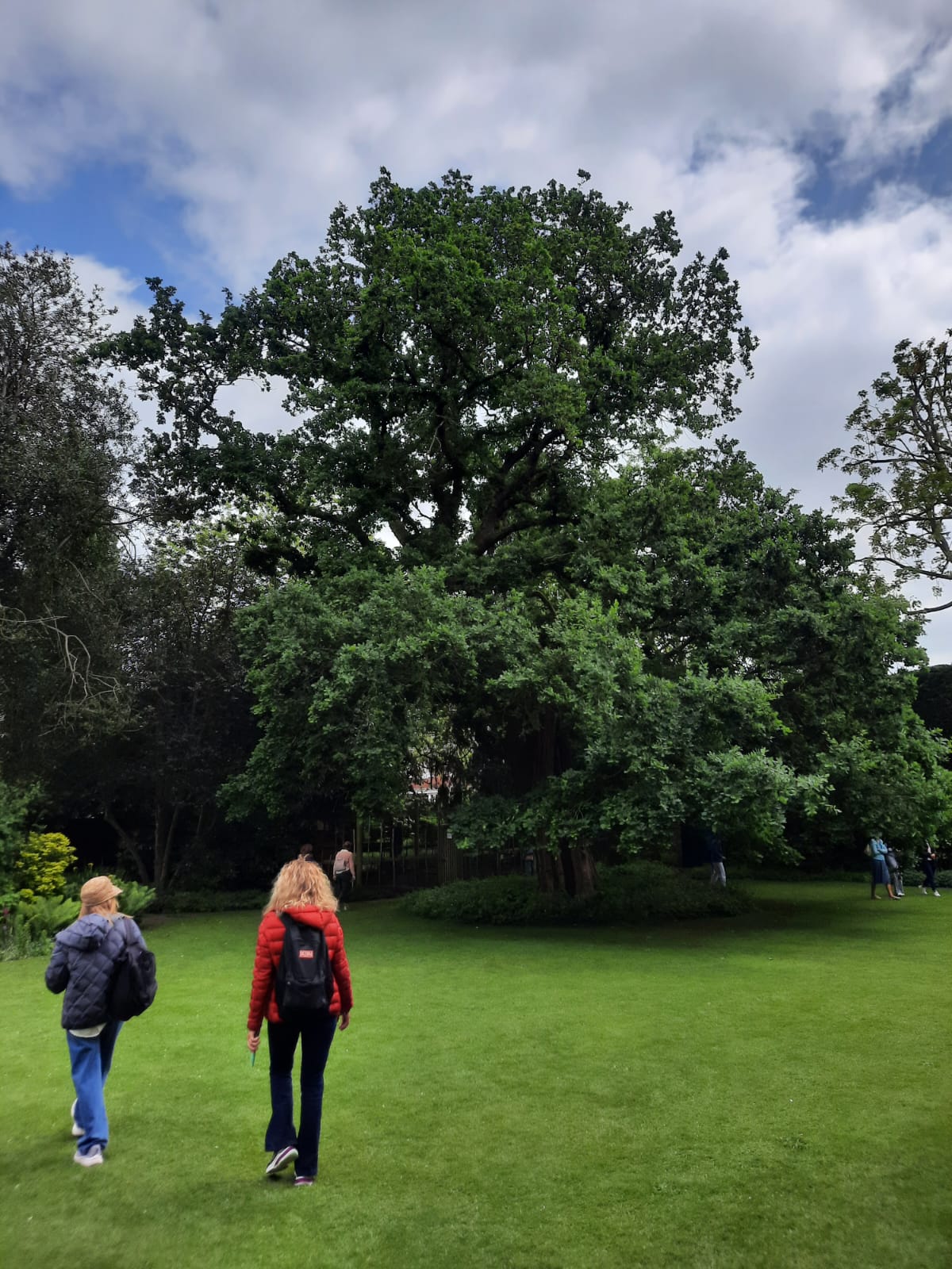 Petersham Through Its Gardens – Salterton Arts Review