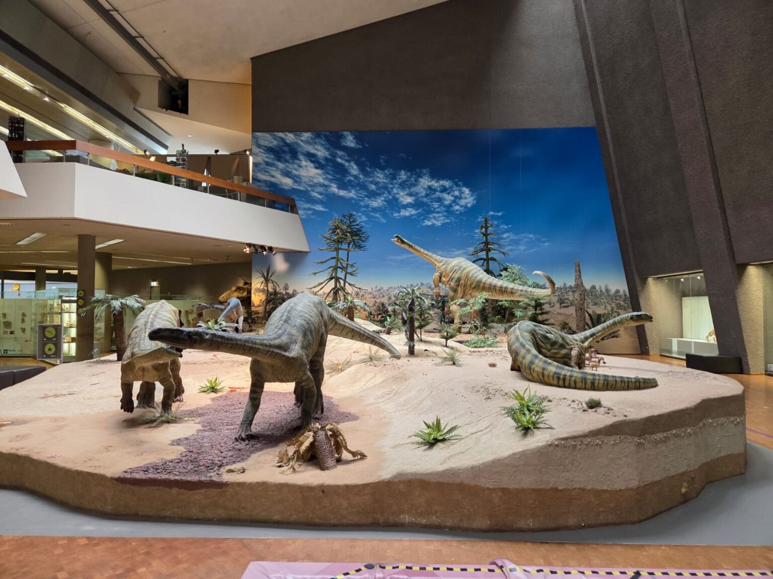 Museum am Löwentor, Stuttgart State Museum of Natural History ...